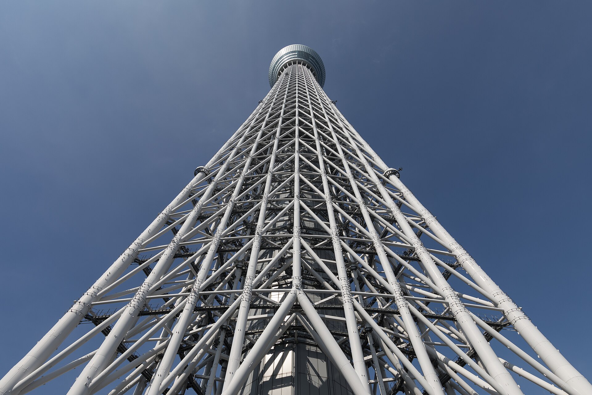 SPY×FAMILY Tokyo Fan Day: Events, Shops & Cafes (2026) | Japan Pop Now